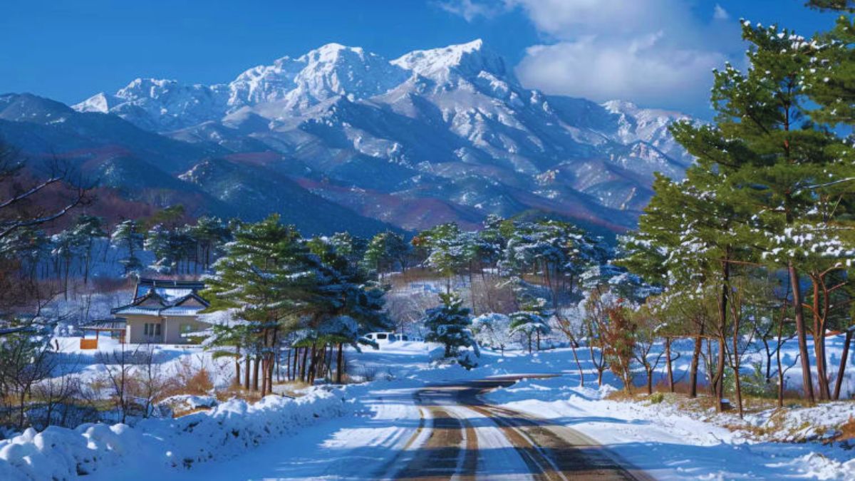 10 Best Snow Destinations in India to Visit in Winter